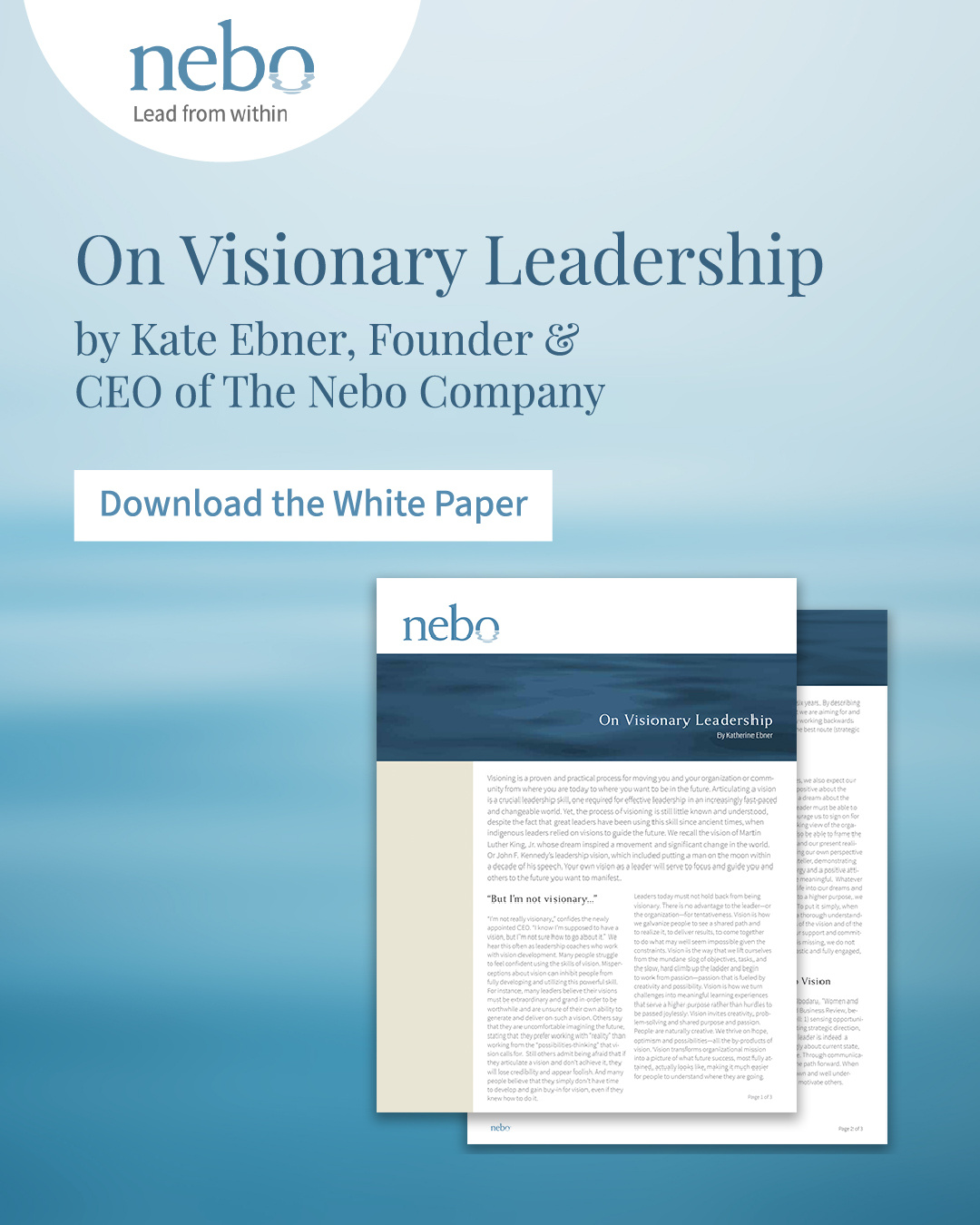 On Visionary Leadership White Paper Access