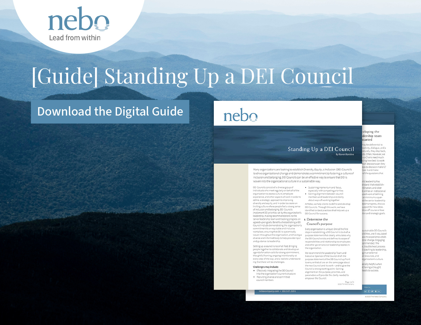 Setting Up DEI Council | DEI Council | DEI Best Practices